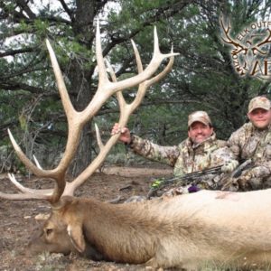 Unit 7 East Arizona Elk Outfitters - Arizona Elk Outfitters