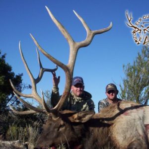 The Top Elk Units in Arizona - Arizona Elk Outfitters
