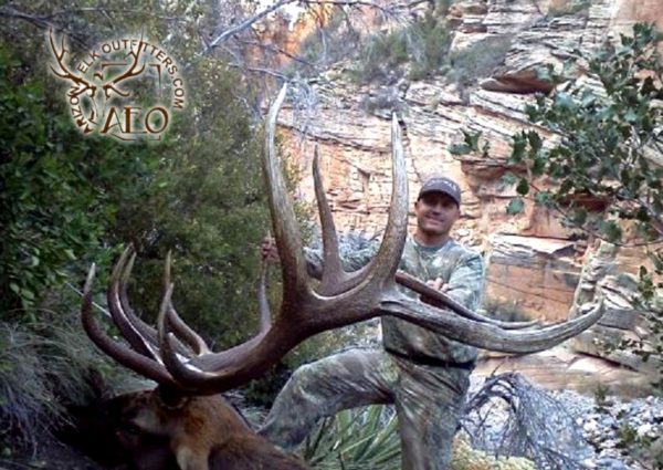 Rifle Elk Hunts, Whitetail Deer Hunting Outfitters, Guided Deer Hunting.