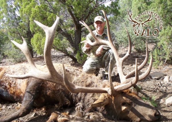 The Top Elk Units in Arizona - Arizona Elk Outfitters