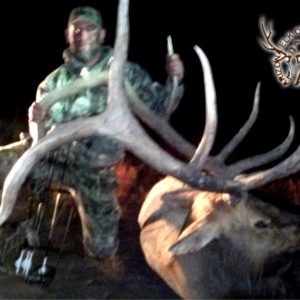 The Top Elk Units in Arizona - Arizona Elk Outfitters