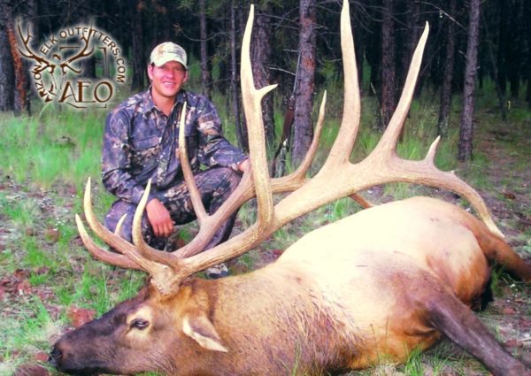 Rifle Elk Hunts, Whitetail Deer Hunting Outfitters, Guided Deer Hunting.