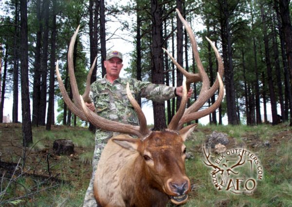 Elk Hunting Guides. Trophy Bull Elk Bow and RIfle Hunting Trips In Arizona.
