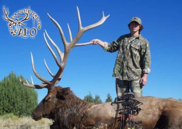 Elk Hunting Guides. Trophy Bull Elk Bow and RIfle Hunting Trips In Arizona.