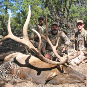 The Top Elk Units in Arizona - Arizona Elk Outfitters