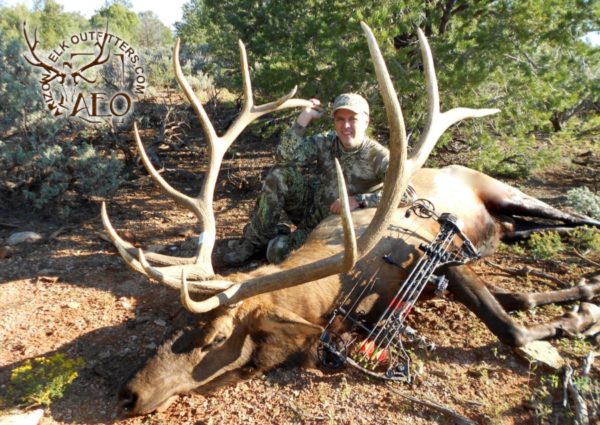 Elk Hunting Guides. Trophy Bull Elk Bow and RIfle Hunting Trips In Arizona.
