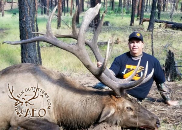 Elk Hunting Guides. Trophy Bull Elk Bow and RIfle Hunting Trips In Arizona.